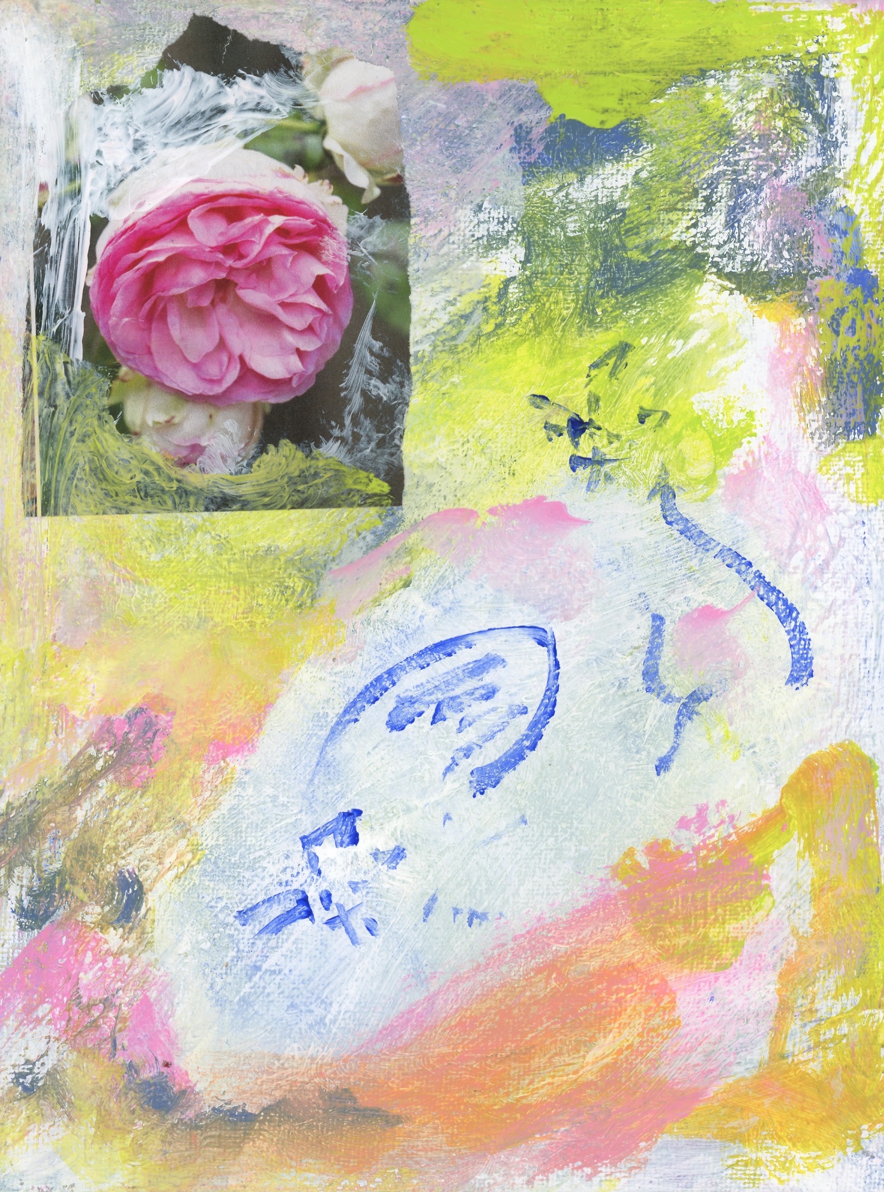 Lisa Winer | ARTIST and ILLUSTRATOR